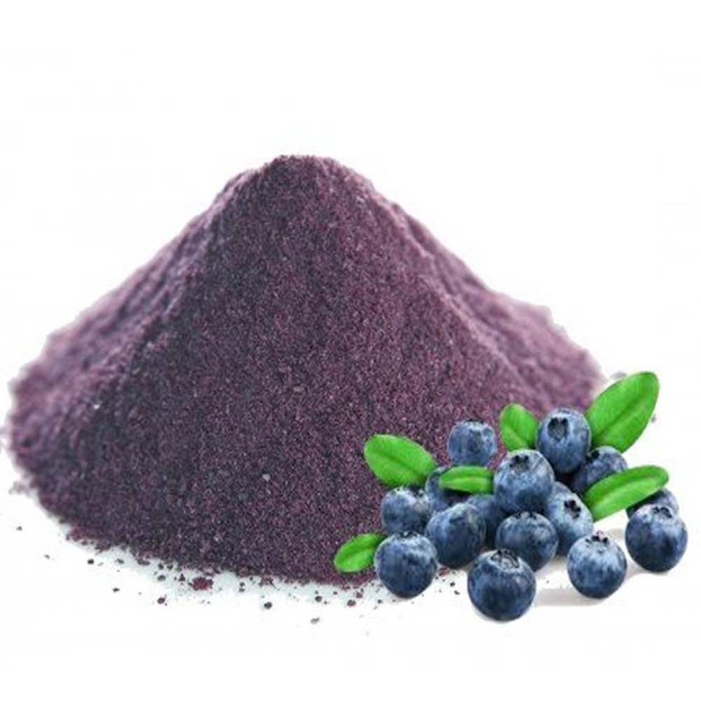 Fruit Powders - Shailaja Corporation