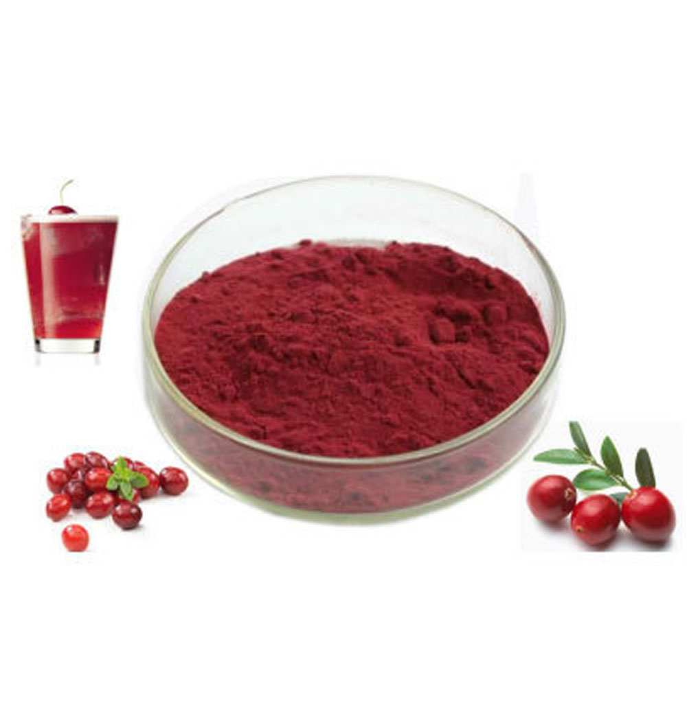 Fruit Powders - Shailaja Corporation