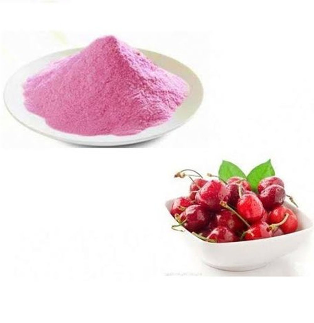 Fruit Powders - Shailaja Corporation